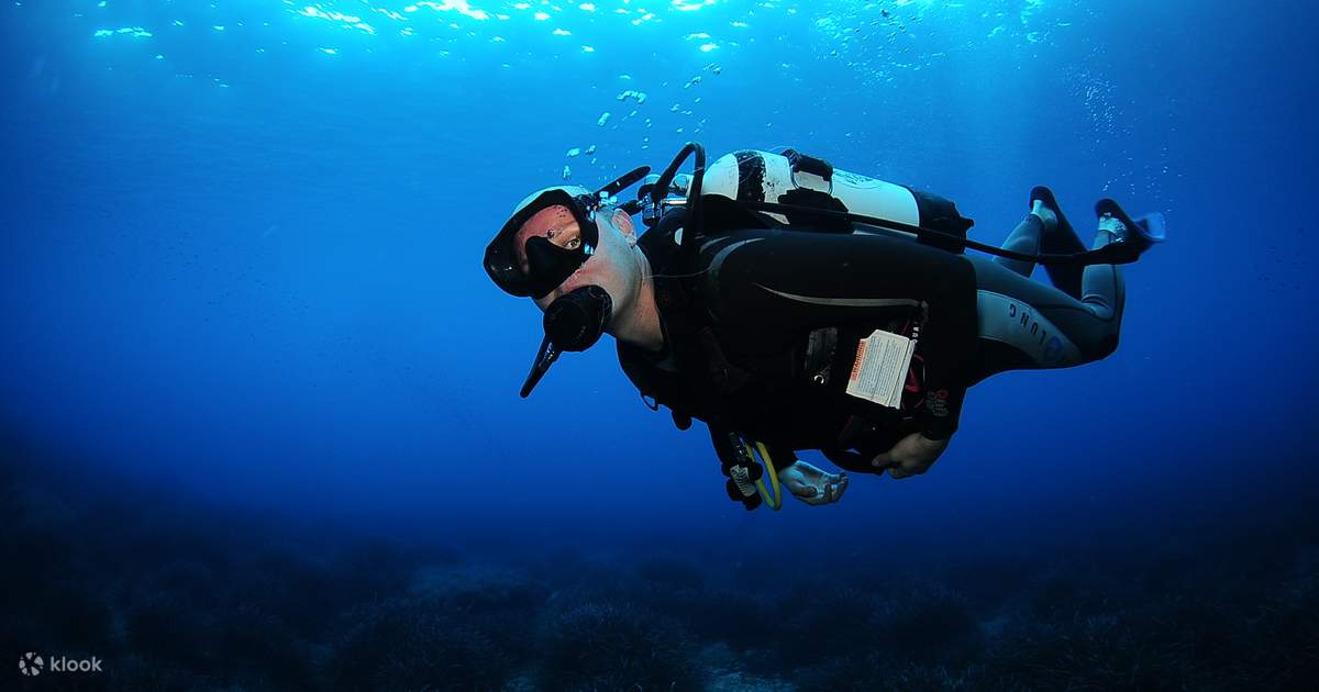 Open Water Course [eLearning] in Balearic Islands with PADI 5 Star Dive ...